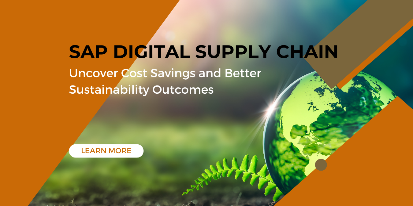 Supply Chain-Led SAP Methodology Saves Money and Improves Sustainability